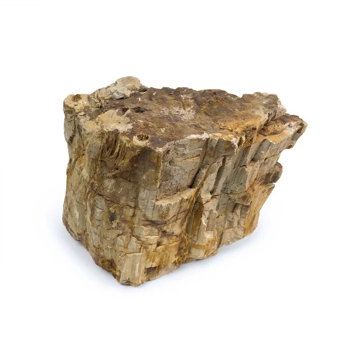 Petrified Wood Stones - aquascape.lk